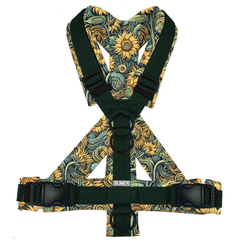 Geschirre Konfigurieren – BUMER Shop für konfigurierbare Hundegeschirre ...