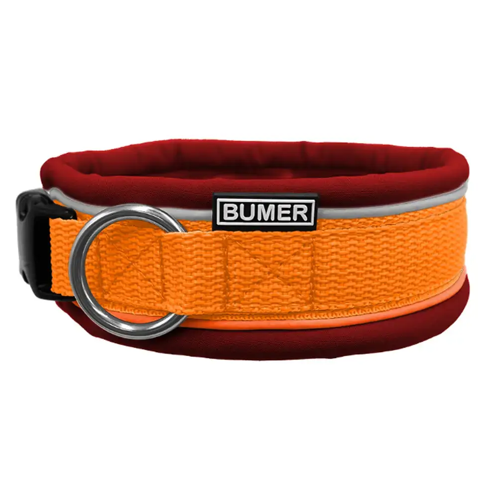 BUMER Steckhalsband, Hundehalsband für Hunde, gepolstert, Halsumfang 24 ...